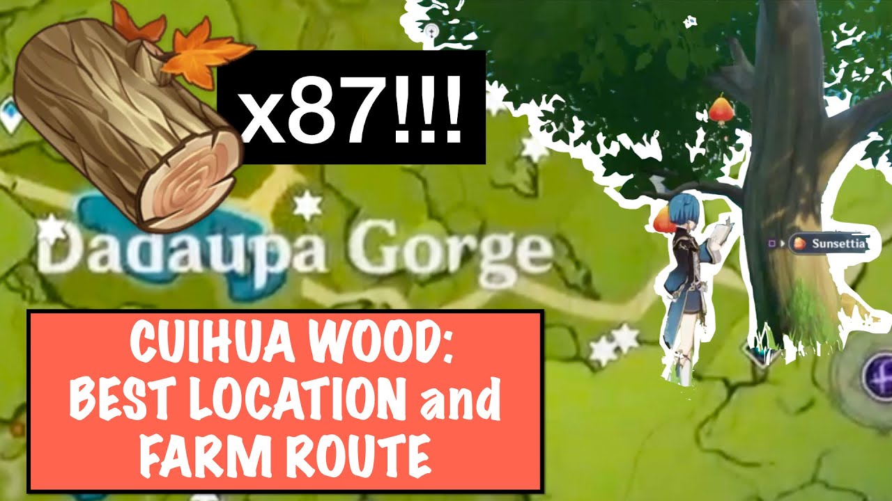 Genshin Impact: Cuihua Wood - BEST Location and Farm route - YouTube