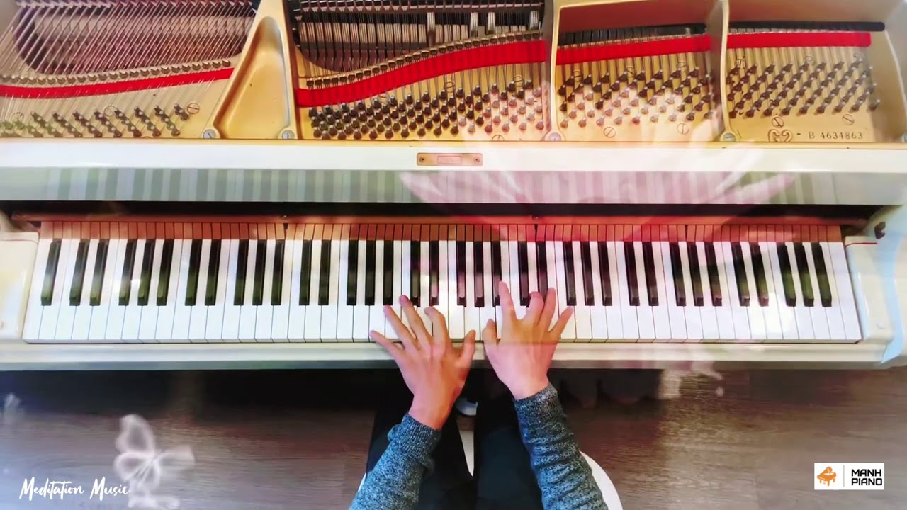 🎵 Nhạc piano dễ ngủ, thư giãn đầu óc hay nhất | Nhạc thiền “Hoa sen ...