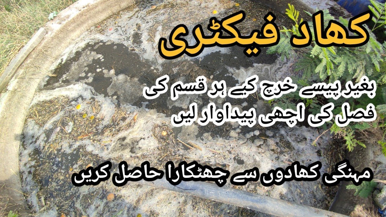 How to make fertilizer on your farm/ khada factory/ organic khad banane ...