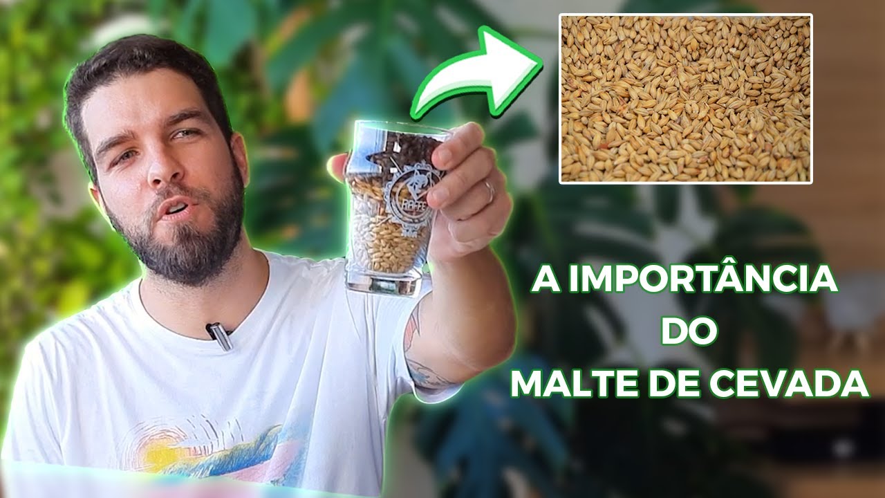 MALTE DE CEVADA - O CORAÇÃO DA CERVEJA. - YouTube
