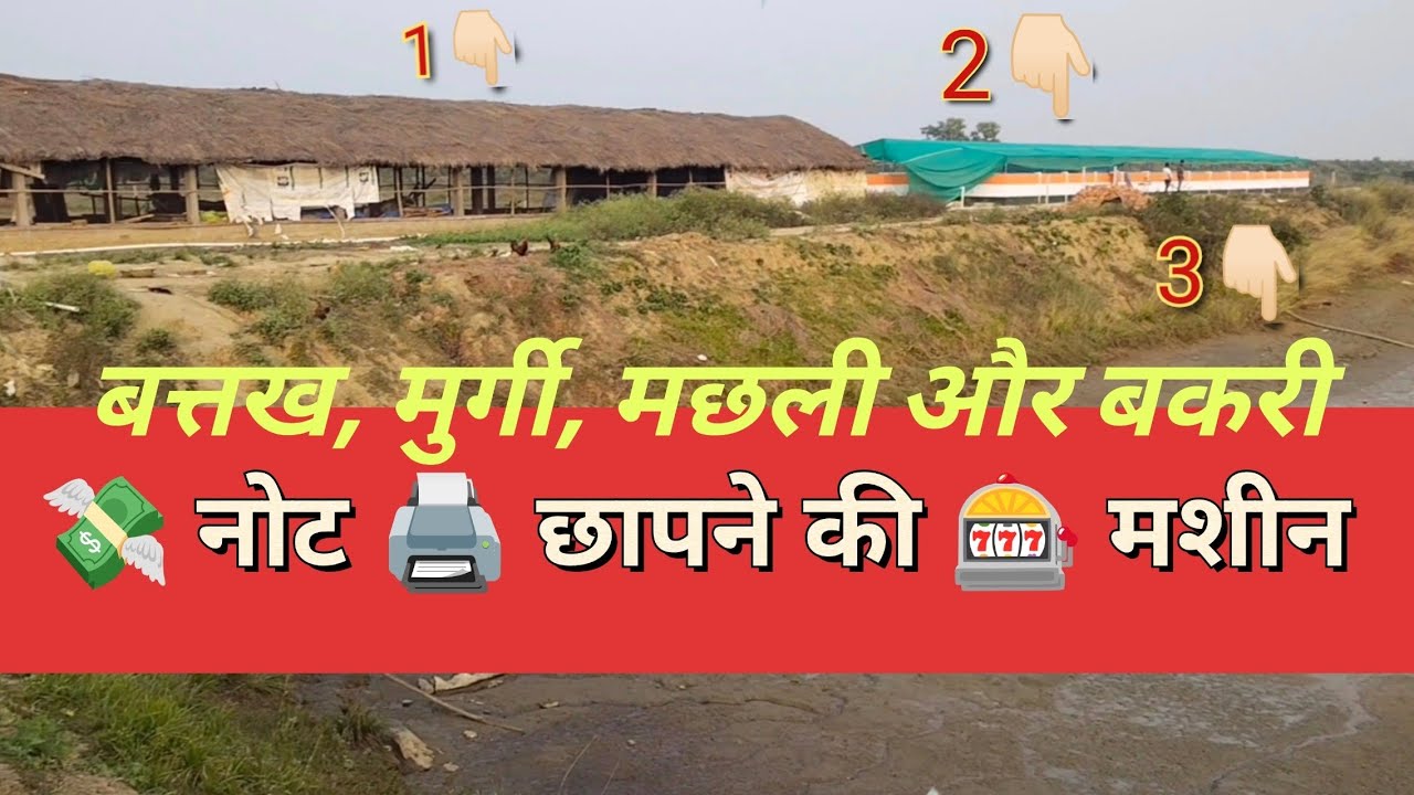Integrated farming system | fish Farming | duck Farming | goat Farming ...
