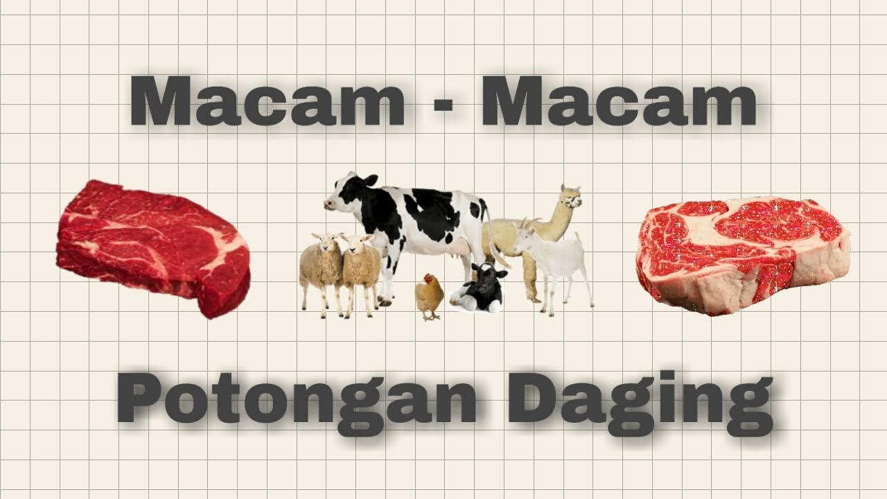 Mengenal macam-macam potongan daging - YouTube