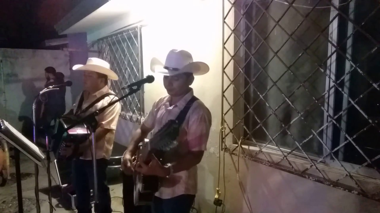 "LA GALLINA ABADA" - YouTube