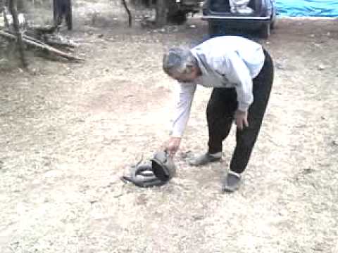 Yılan ile dans eden maraşlı