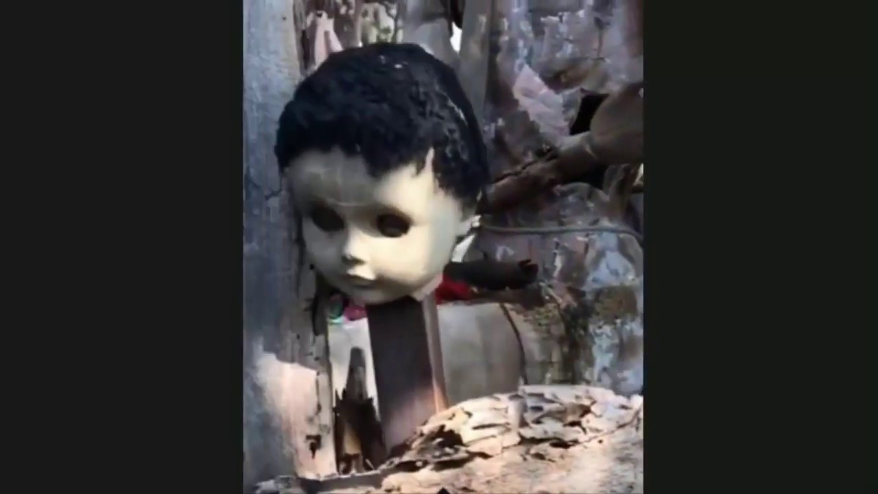 Eerie footage of hundreds of terrifying dolls that inhabit 'Island of ...