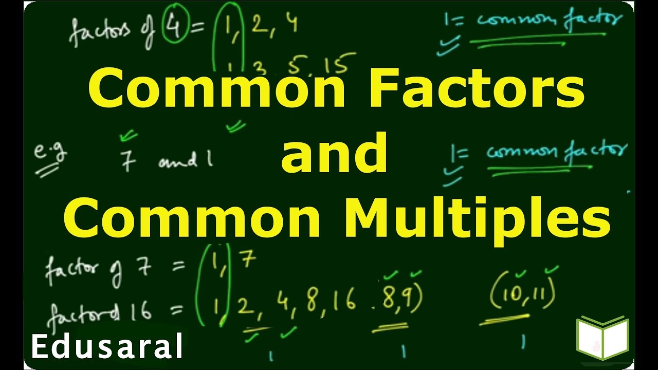 Common Factors and Common Multiples | Playing with Numbers | Ch-3.5 ...