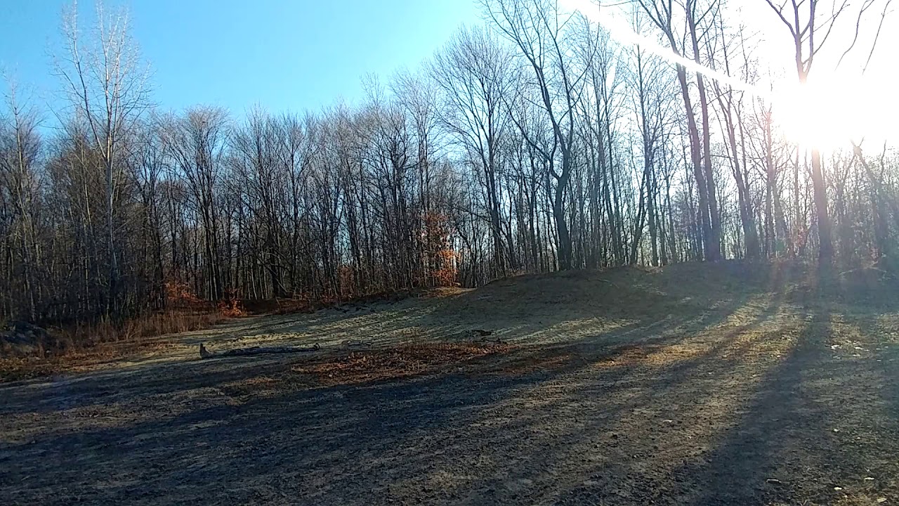 Free green screen background open wood HD footage - YouTube