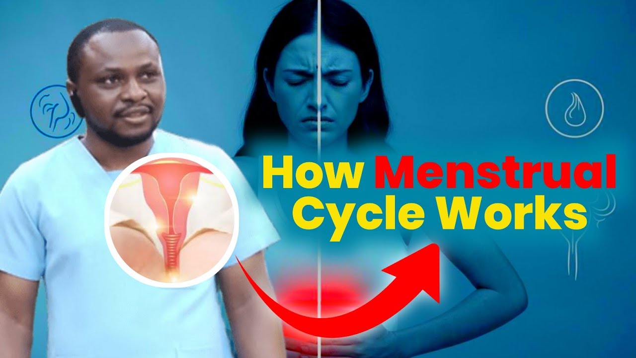 Every Woman Must Know This About Monthly Menstrual Cycle Period ...