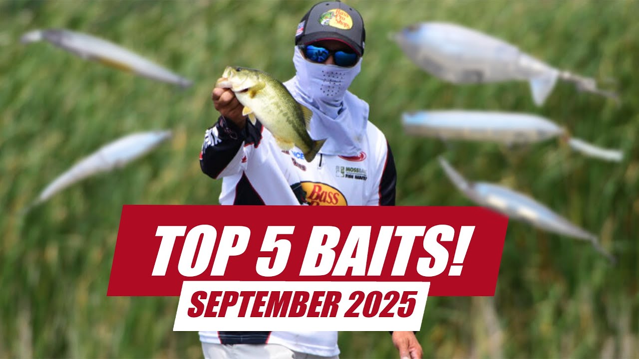 Top 5 Baits for September bass fishing - YouTube