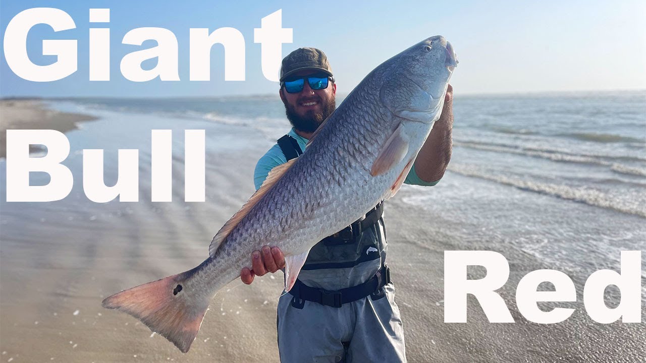 Surf Fishing For BULL REDFISH On The Texas Coast {Catch Clean Cook ...
