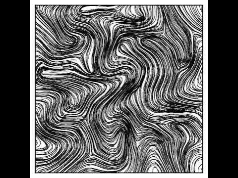 Simulated active nematic plotted using a nematic streamplot function ...