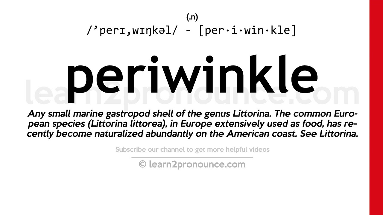Pronunciation of Periwinkle | Definition of Periwinkle - YouTube