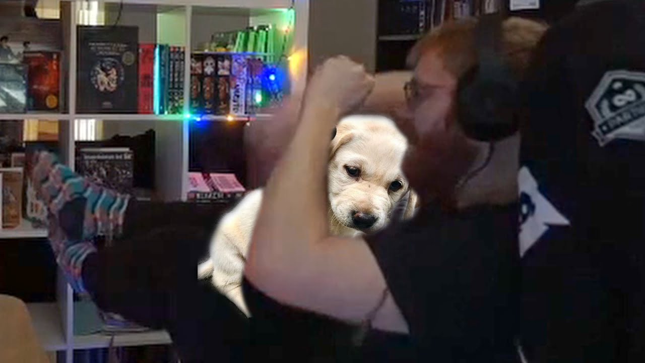 German Streamer On How To Fight Dogs - YouTube