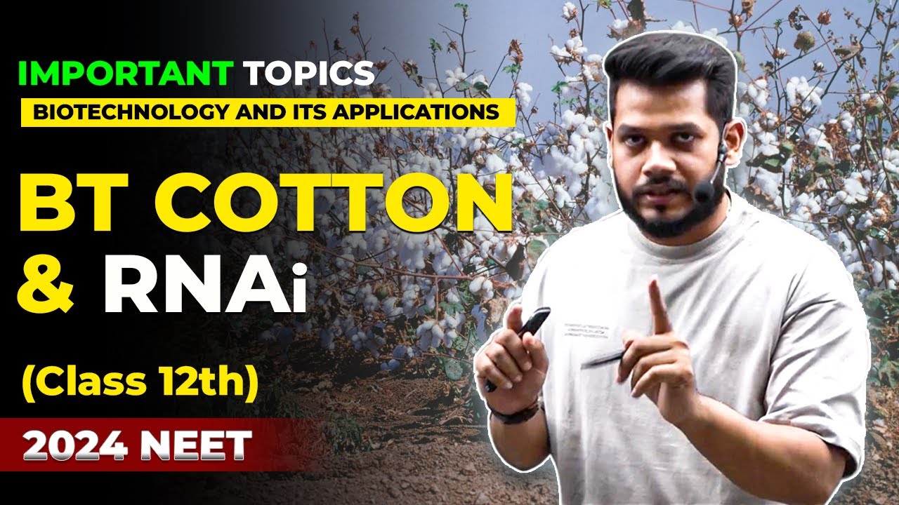 BT Cotton & RNAi : Introduction 🌱| Class:12 - NEET #neet #btcotton # ...