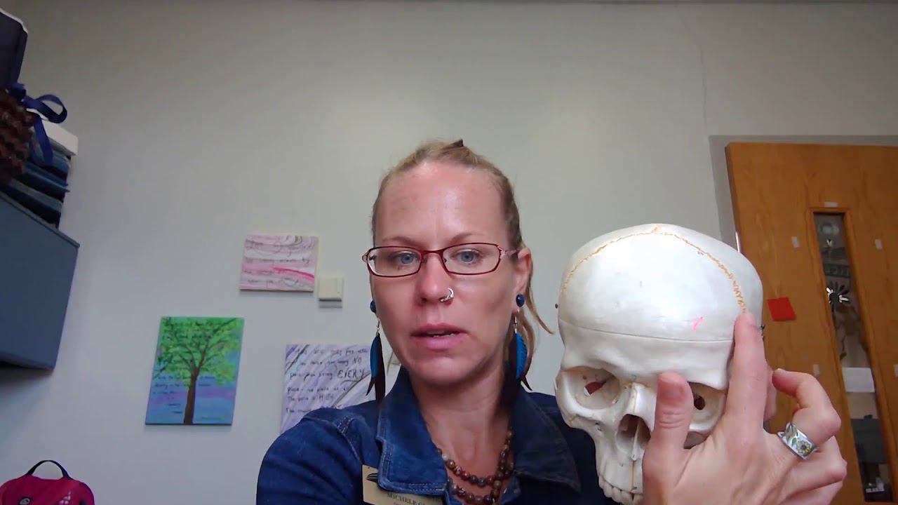 Skull Quiz Question - YouTube