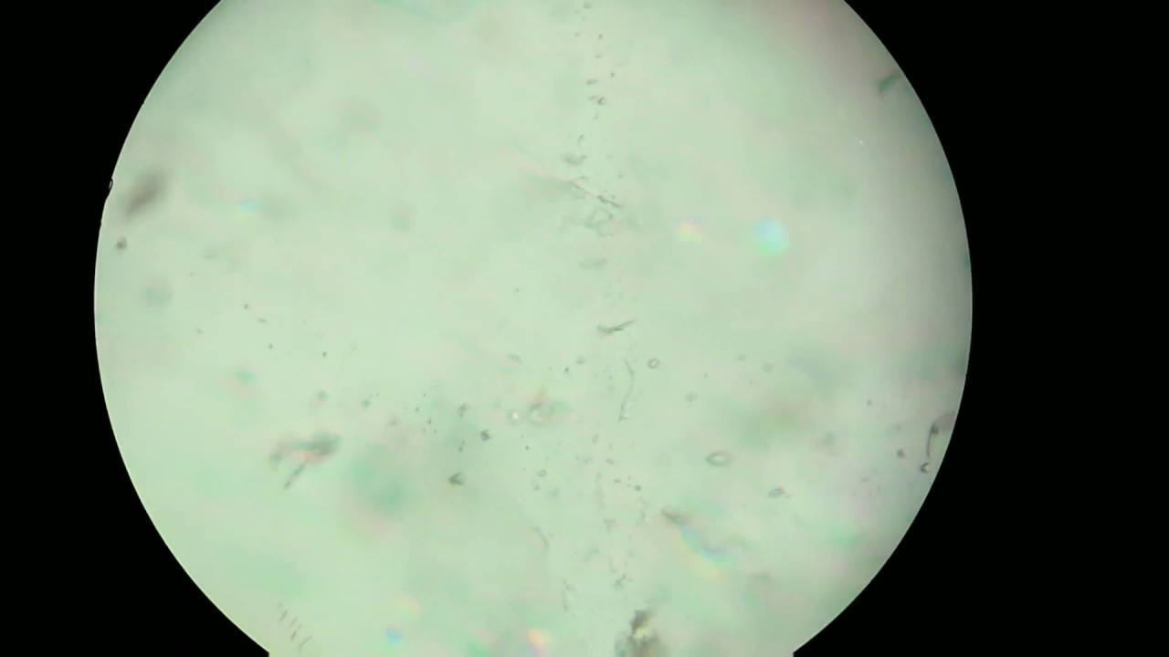 Fluid Inclusion Sample 5 - YouTube