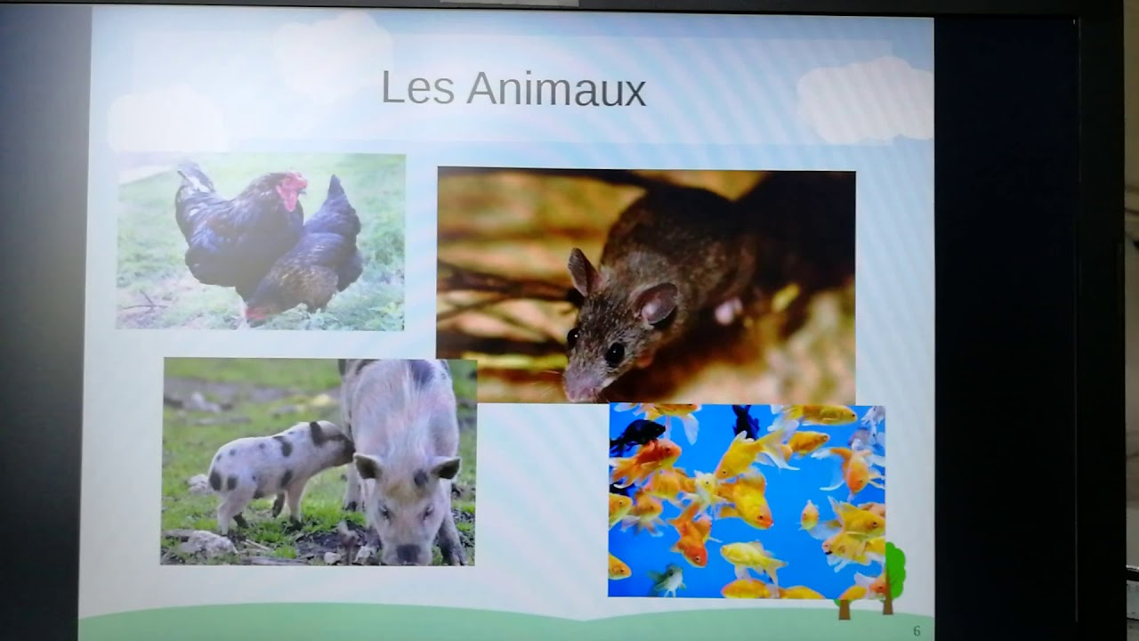 Sciences} Vivant et non-vivant. Qu'est ce que c'est ? - YouTube