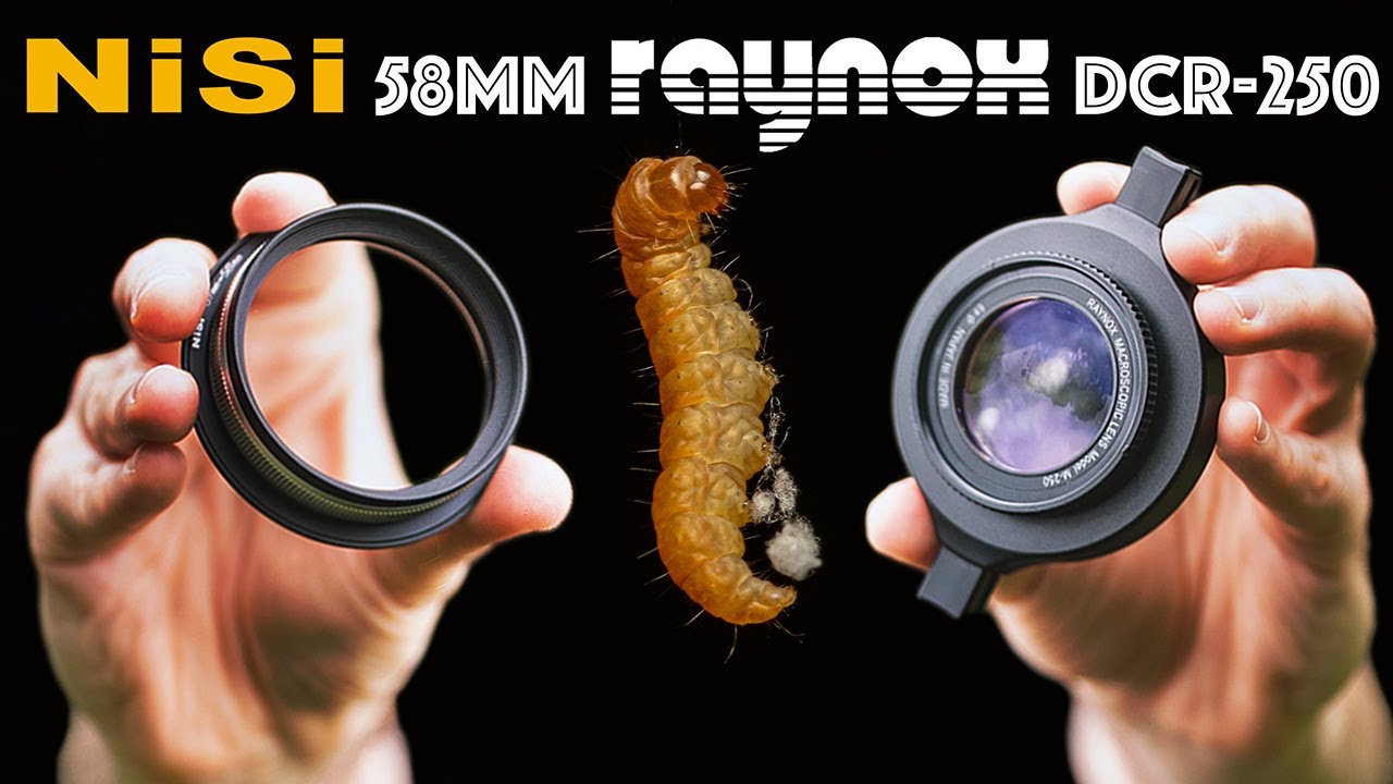 Budget Macro = Pro Results : Raynox DCR-250 & NiSi58mm STACKED for 3X ...
