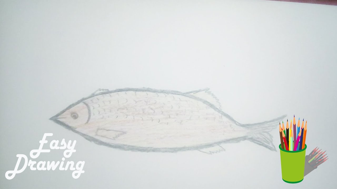 How to draw a lazy fish step by step (very easy) | art video - YouTube