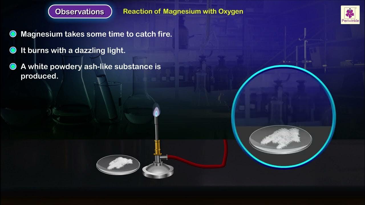 Reaction of Magnesium Ribbon When it Burns in Air | Chemistry ...