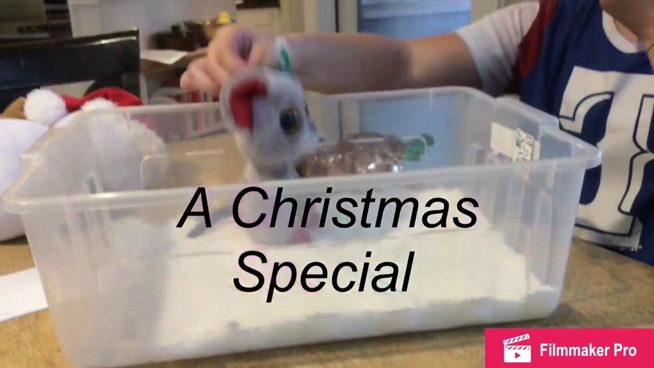 Beanie Boo Christmas Special! - YouTube