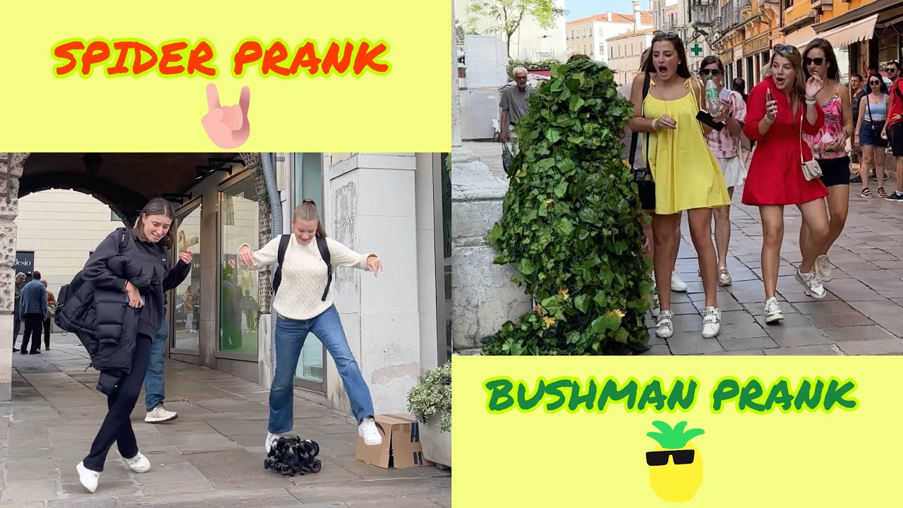 SPIDER FUNNY REACTION & BUSHMAN FUNNY VIDEOS - YouTube