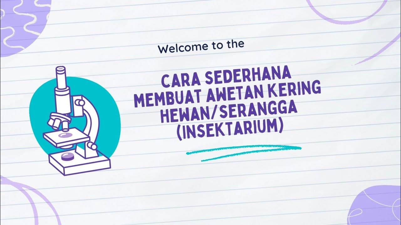 Cara Sederhana Membuat Awetan Kering Hewan/ Serangga (Insektarium ...