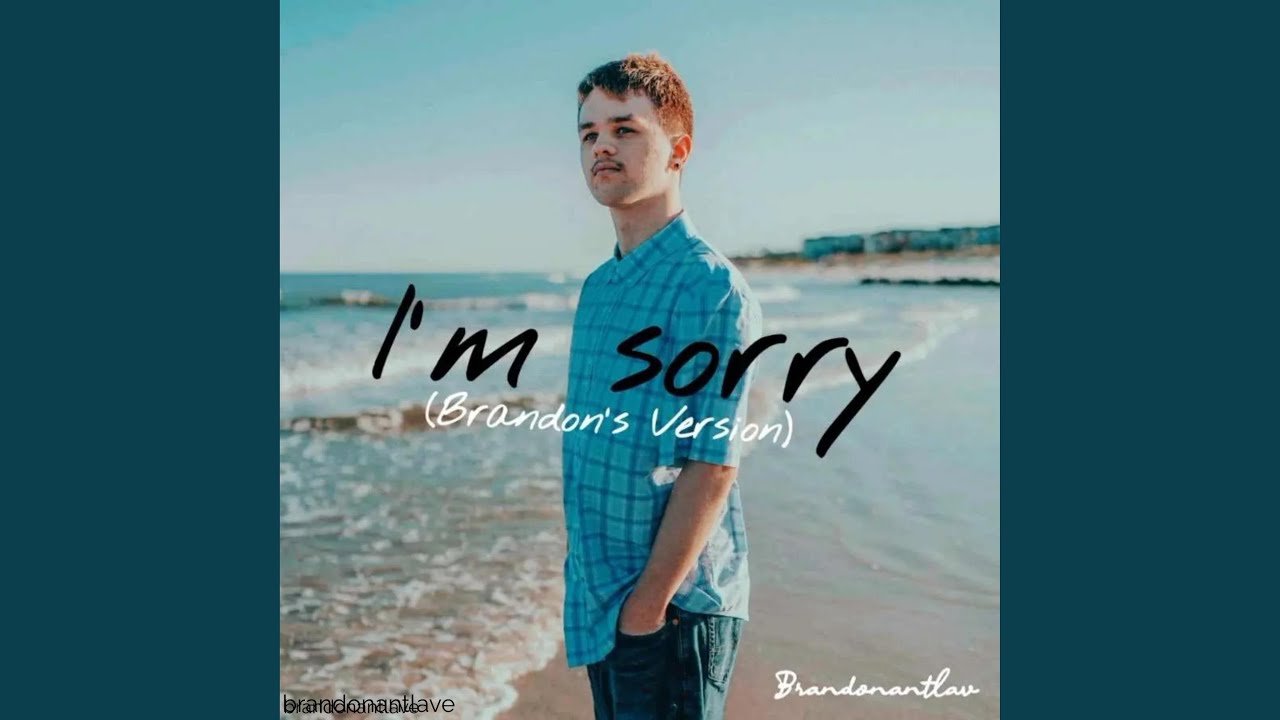 I'm Sorry (Brandon's Version) - YouTube