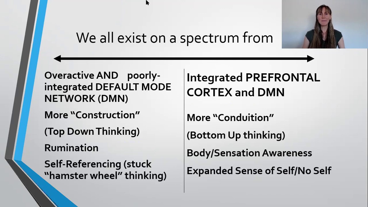 Aware Brain vs Default Mode Network Mind Wandering Negativity Bias and ...
