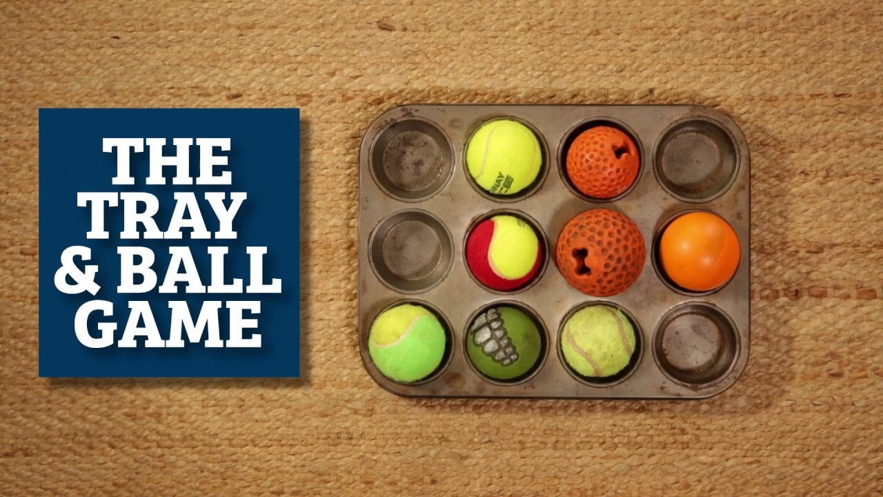 The Tray & Ball Game - YouTube