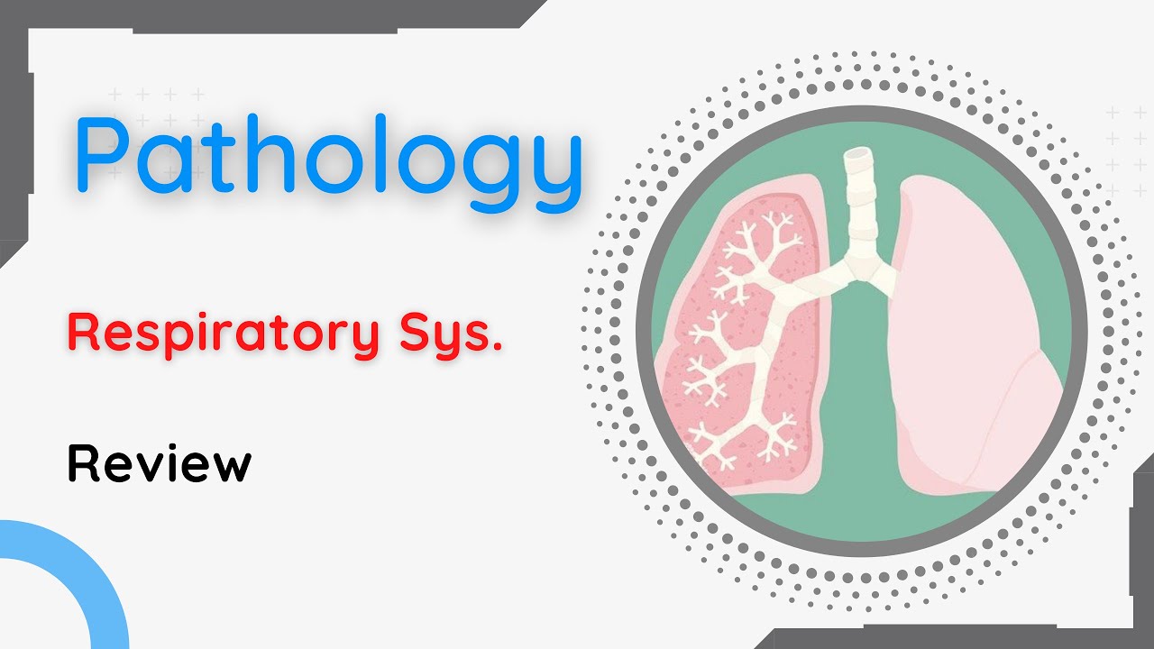 Pathology | Respiratory System | Review - YouTube