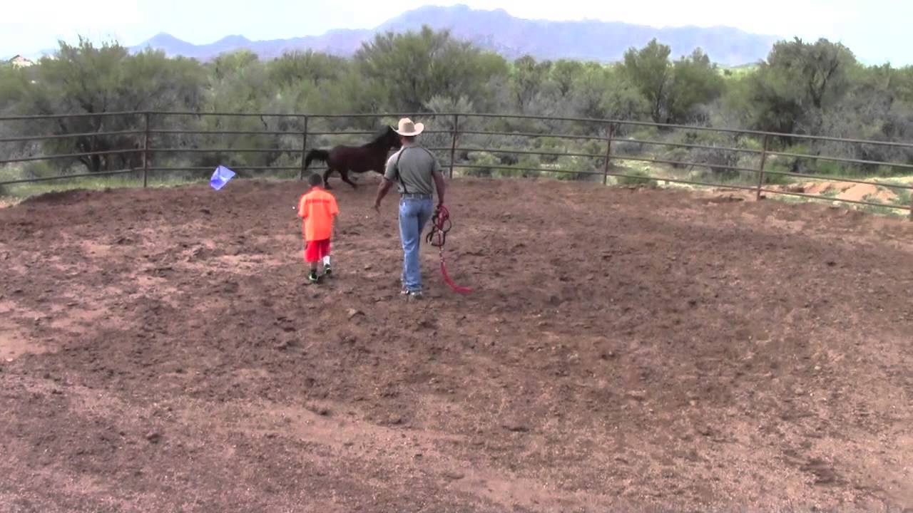 Matt Mills Reining ROCKSTAR vs RYAN full length - YouTube