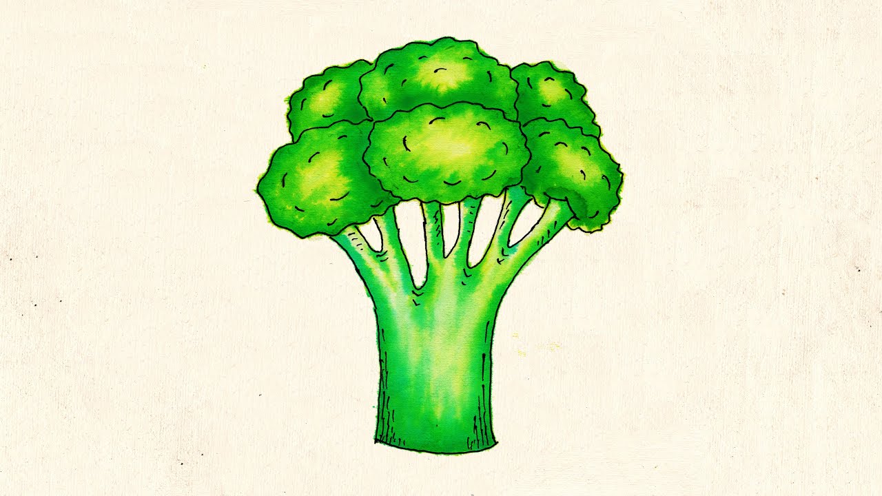 Learn Broccoli Drawing Step by Step- Broccoli Doodle - YouTube