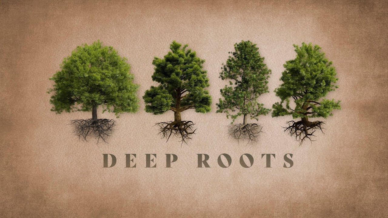 1.26.25 | First Nazarene Church | Deep Roots | 9AM - YouTube