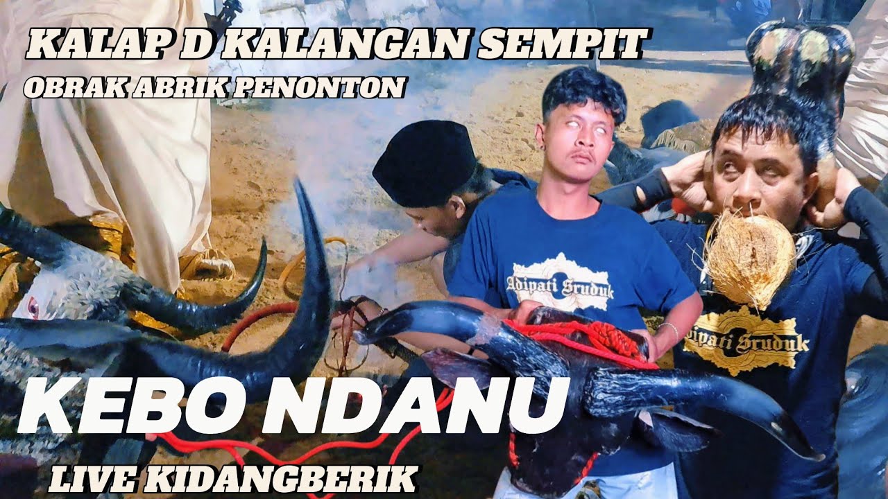 KALAP D KALANGAN SEMPIT KEBO NDANU ADIPATI SRUDUK LIVE KIDANG BERIK ...