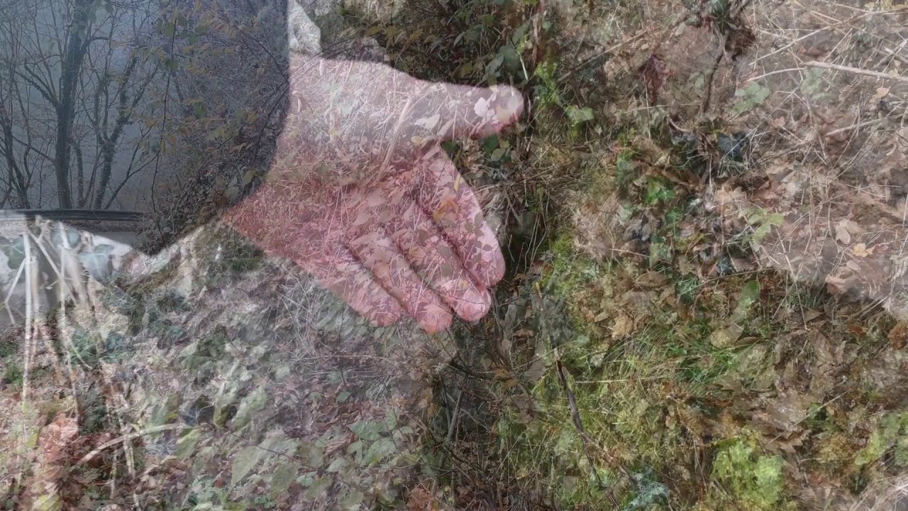 Steaming Ground - Steam Rising from the Ground - YouTube