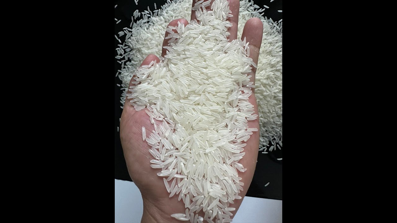 ST25 Rice The Best Rice In The World 2023 Grain Milled in Vietnam ...