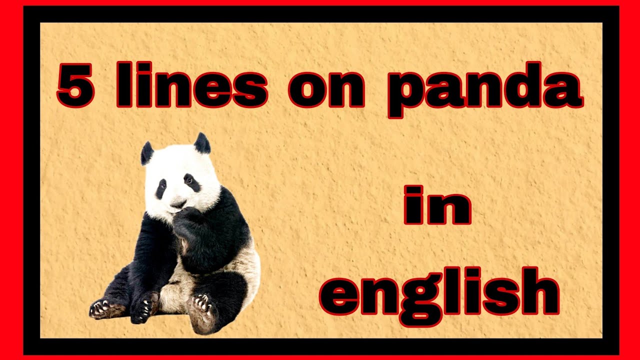 Few lines on panda in English | पांडा पर 5 लाइन अंग्रेजी में | panda ...