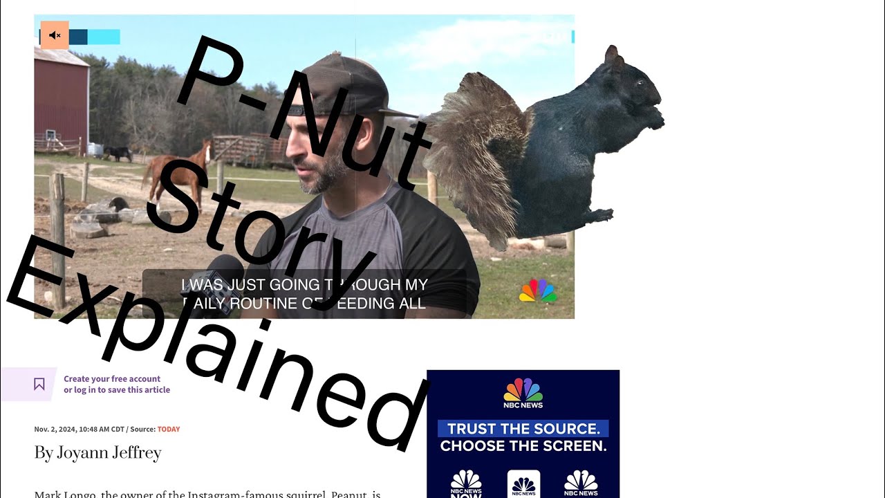 P-Nut the Squirrel explained - YouTube