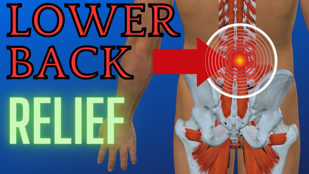 Amazing Lower Back Pain Relief | Myofascial Release | Doctors Agree ...