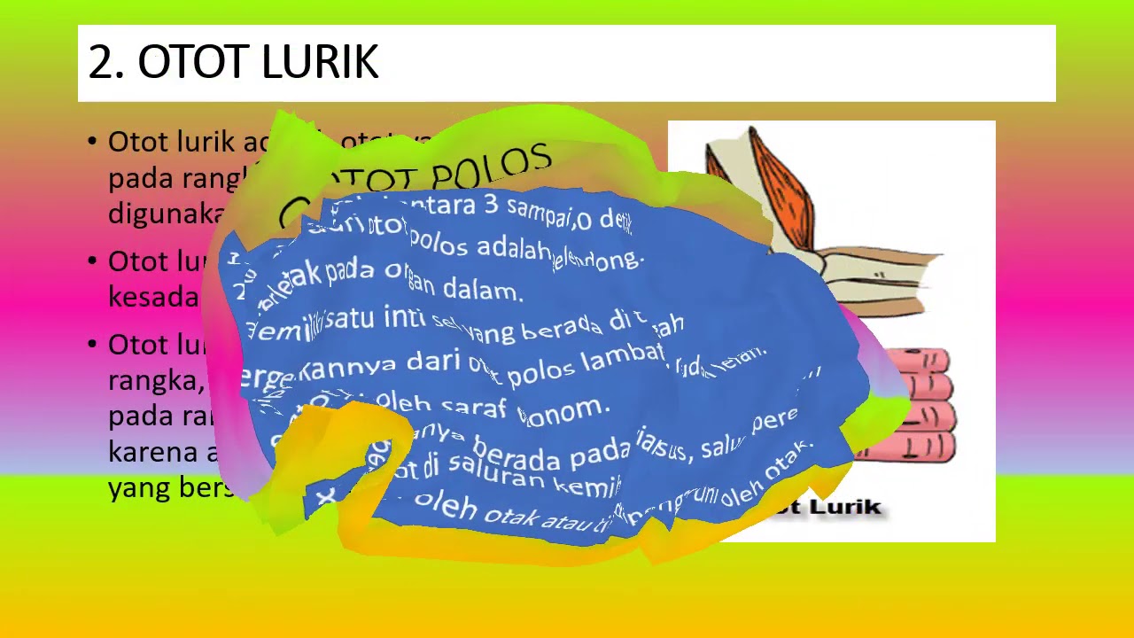 IPA TEMA 1 ST2 PART 2 TENTANG OTOT - YouTube