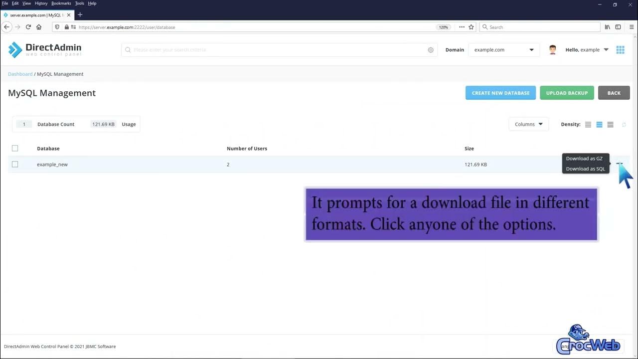 How to download your database from DirectAdmin - CrocWeb Cloud - YouTube