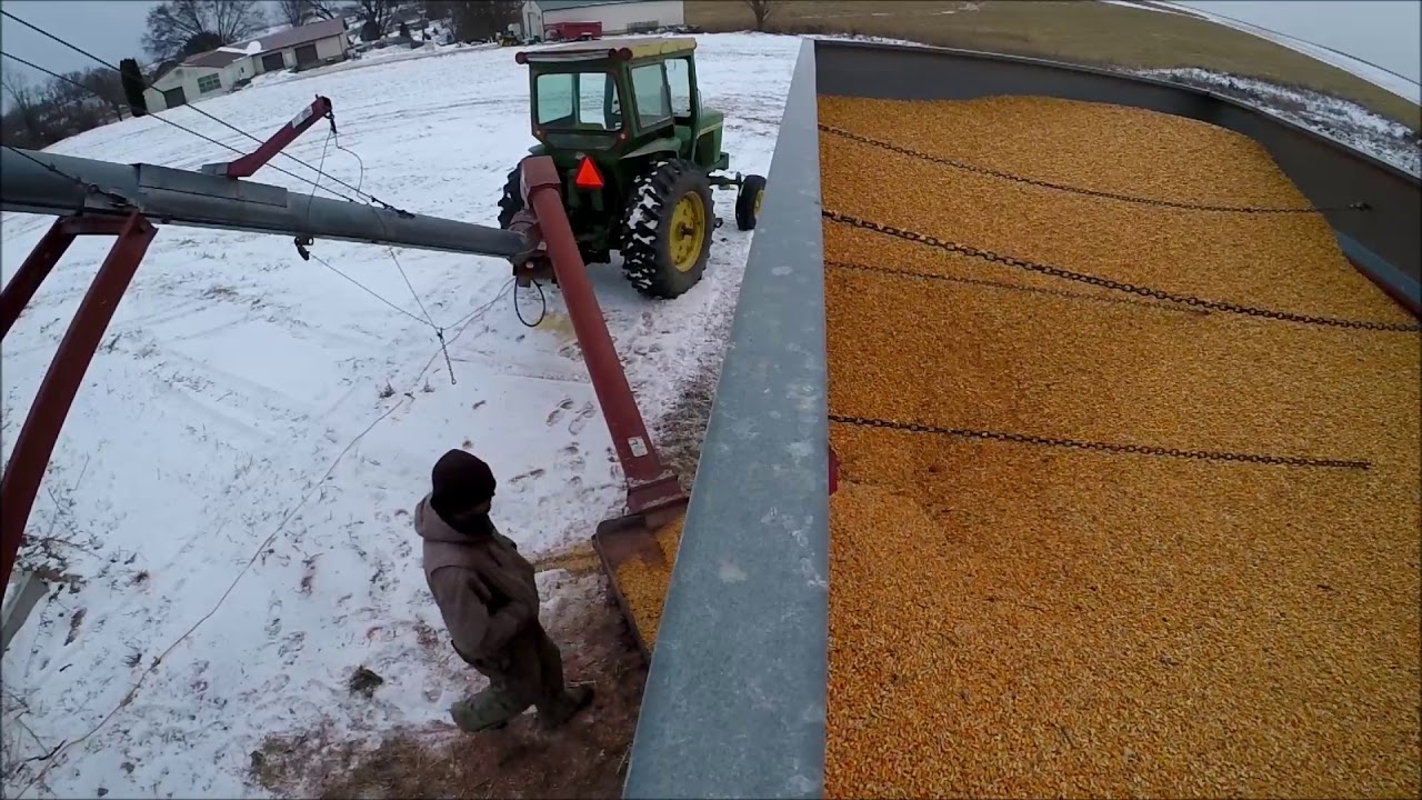 Hauling And Unloading Corn - YouTube