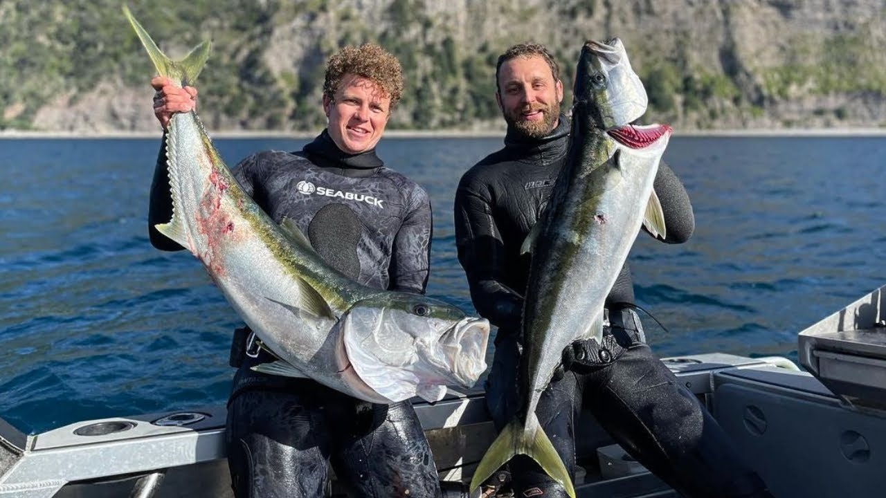 Yellowtail Kingfish Spearfishing meat run | Exploring deserted beaches ...