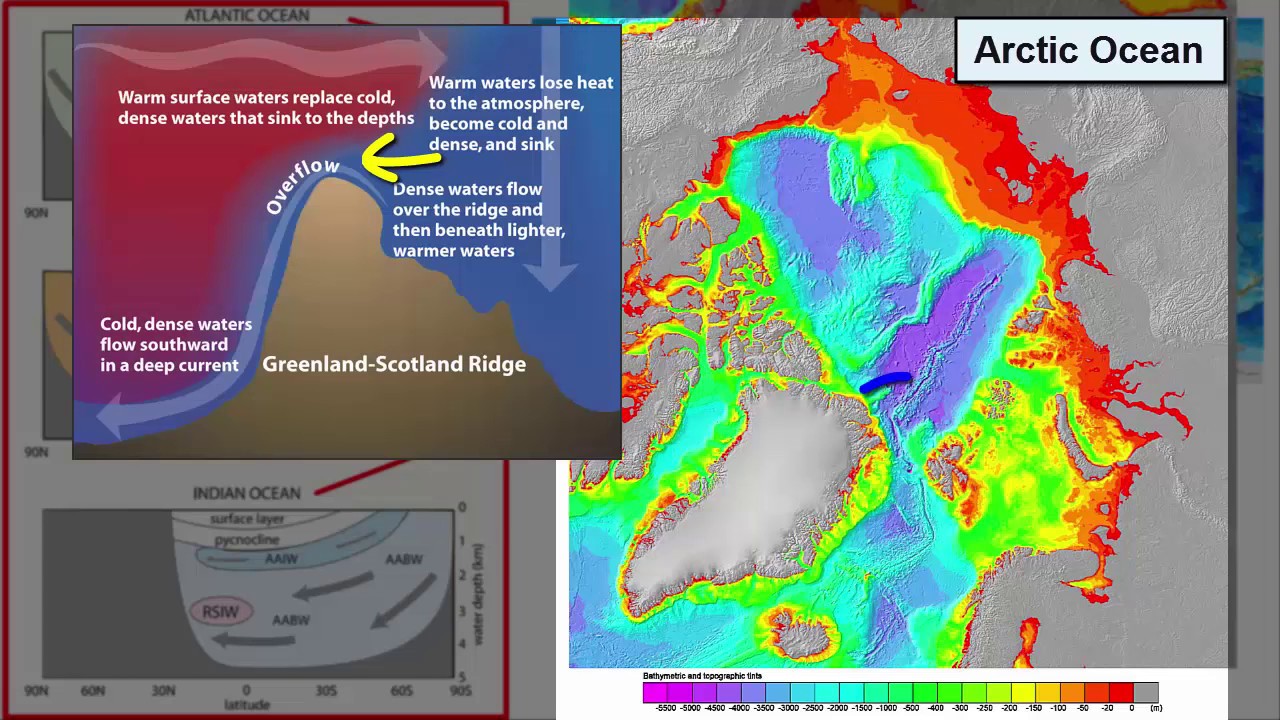 Thermohaline Currents - YouTube