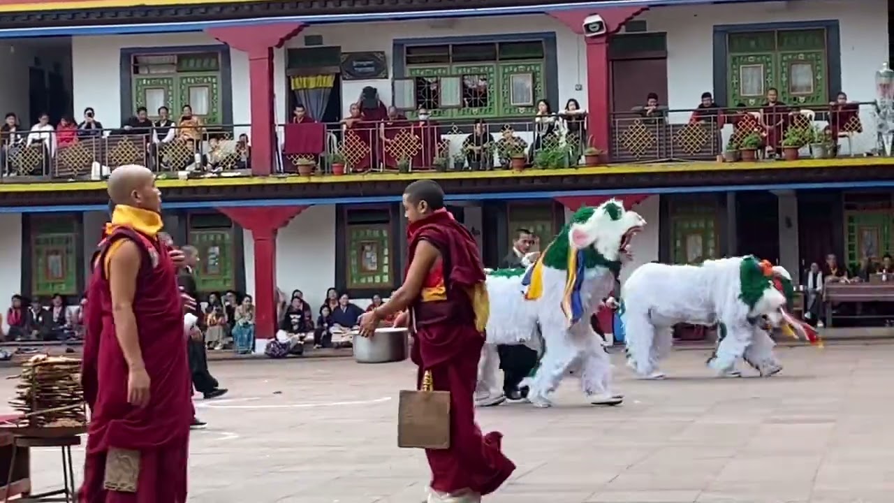 Tibetan Snow Lion dance/Rumtek/Gangtok - YouTube
