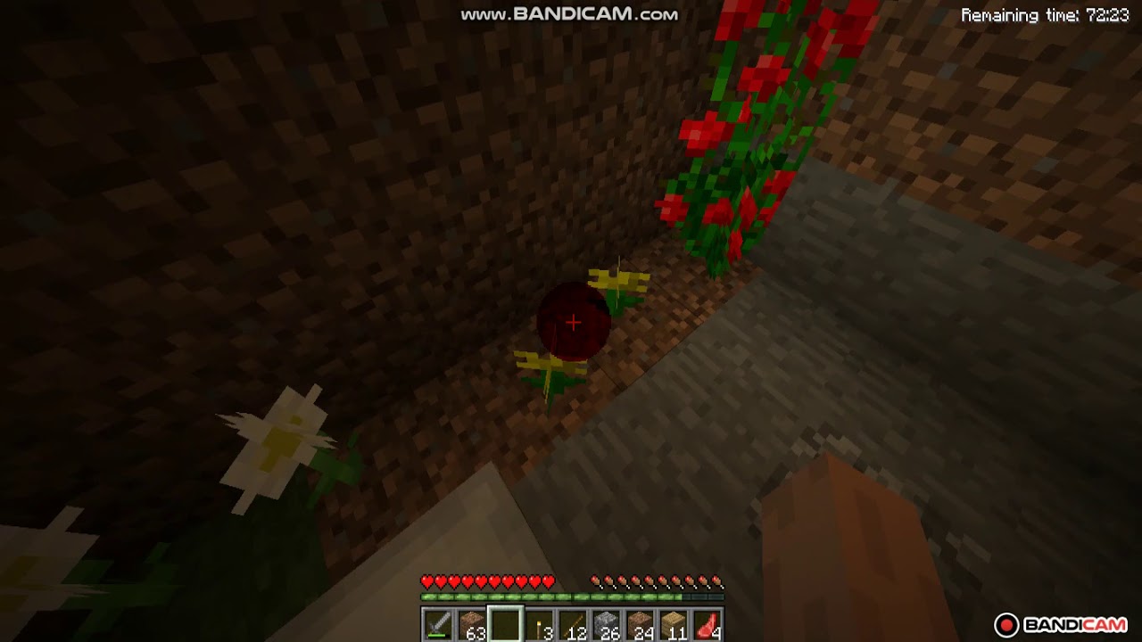 Kwiatkiem rozwaliłam łużko!!!!!Minecraft #1 - YouTube