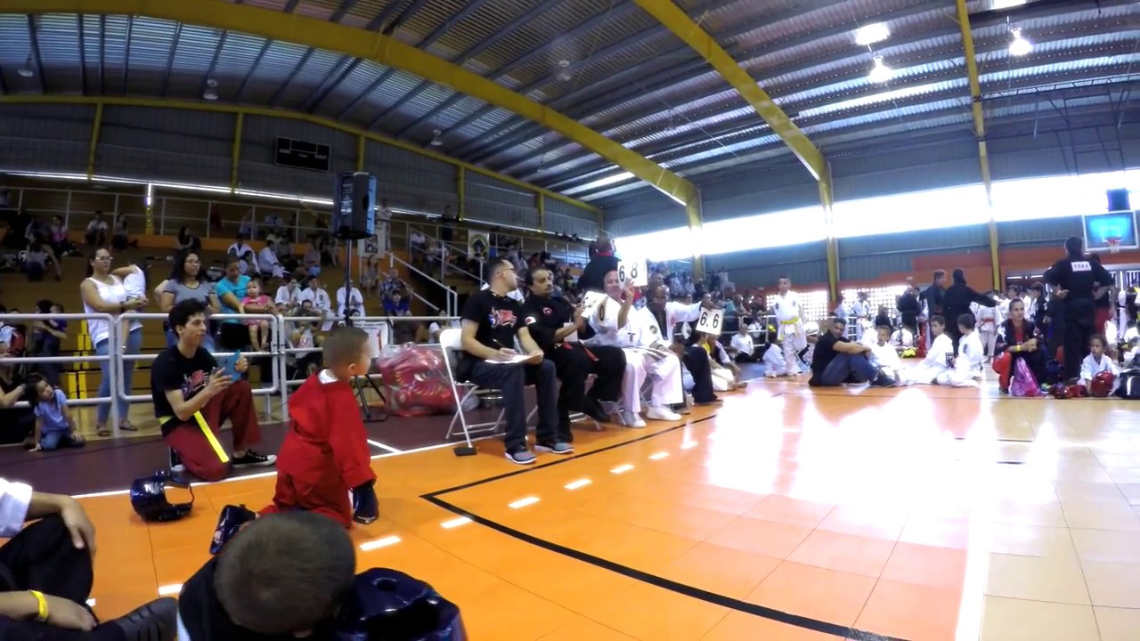 Ki-Zen-Ryu 2016 - YouTube