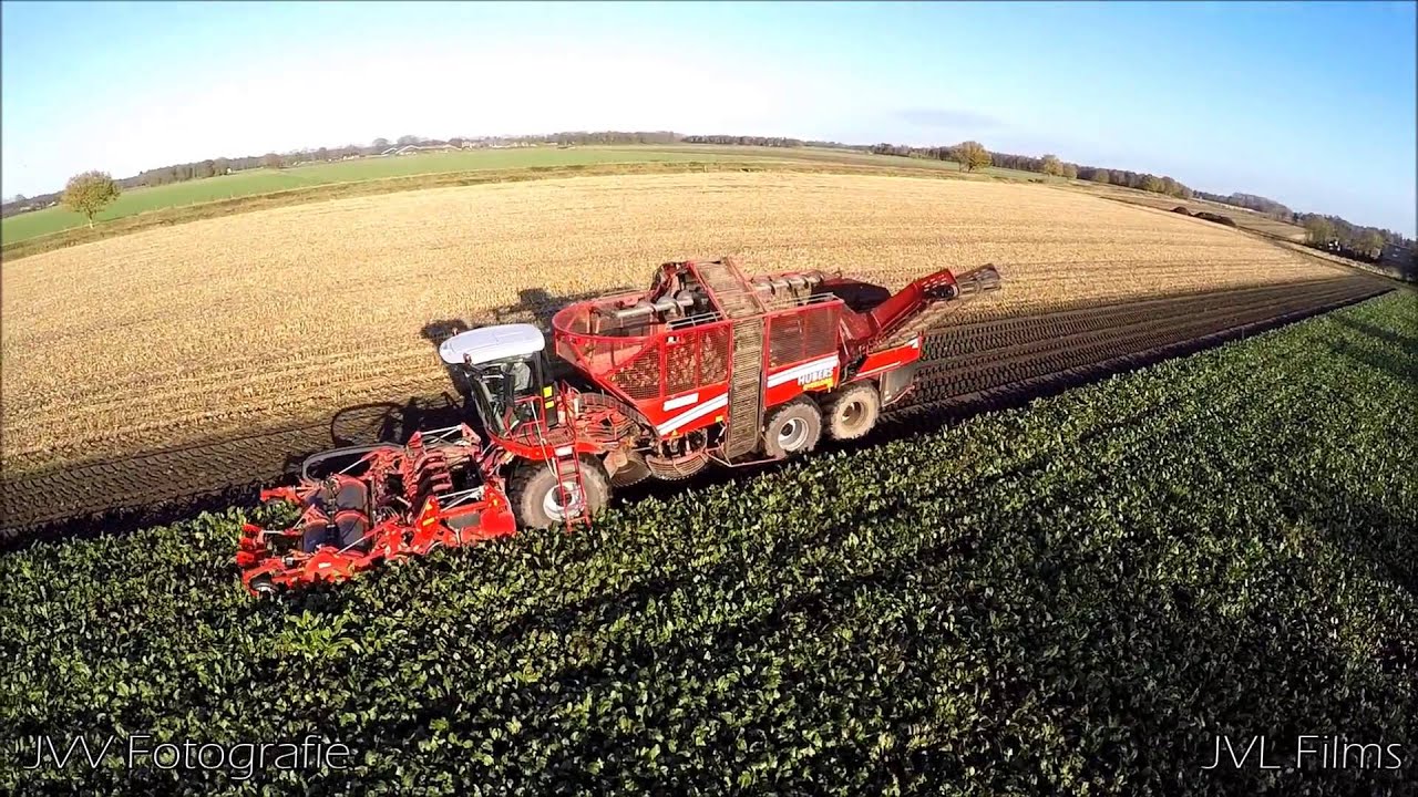 Grimme Rexor 630 Lifting sugar beet | Sugarbeet harvesting ...