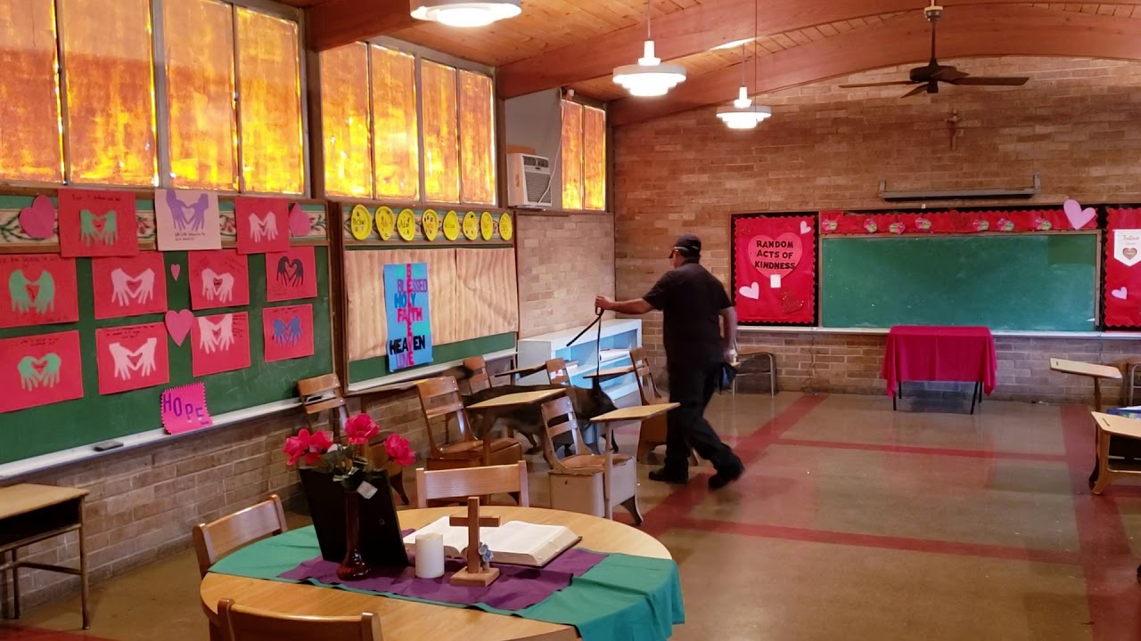 Roman & Buster Sabinal PD 2 - YouTube